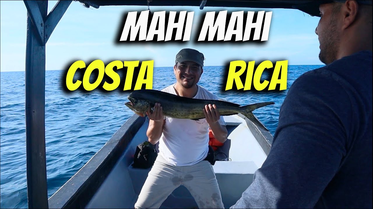 Fishing Mahi Mahi, Ate Fish Eggs in Samara, Costa Rica Ep. 18 - YouTube