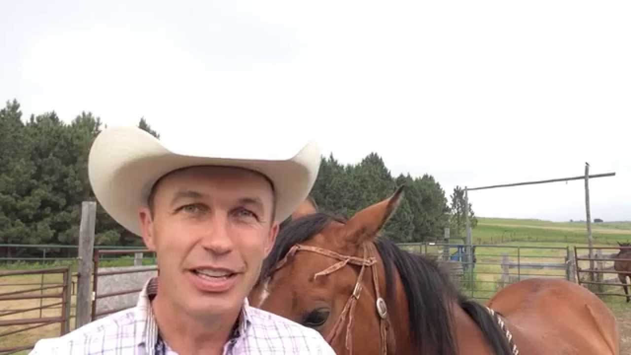 Ryan Taylor Cowboy Logic Minute, AgWeek TV, 07052015 - YouTube