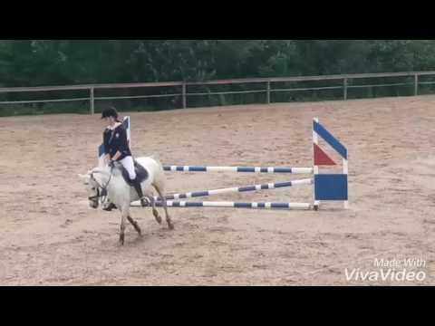 😀6-jährige Reitponystute Tara🐴