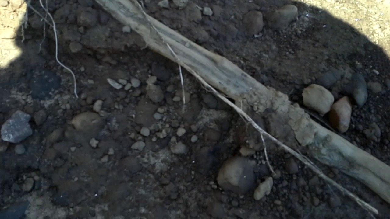 Killer Copena Round Base!!! - YouTube