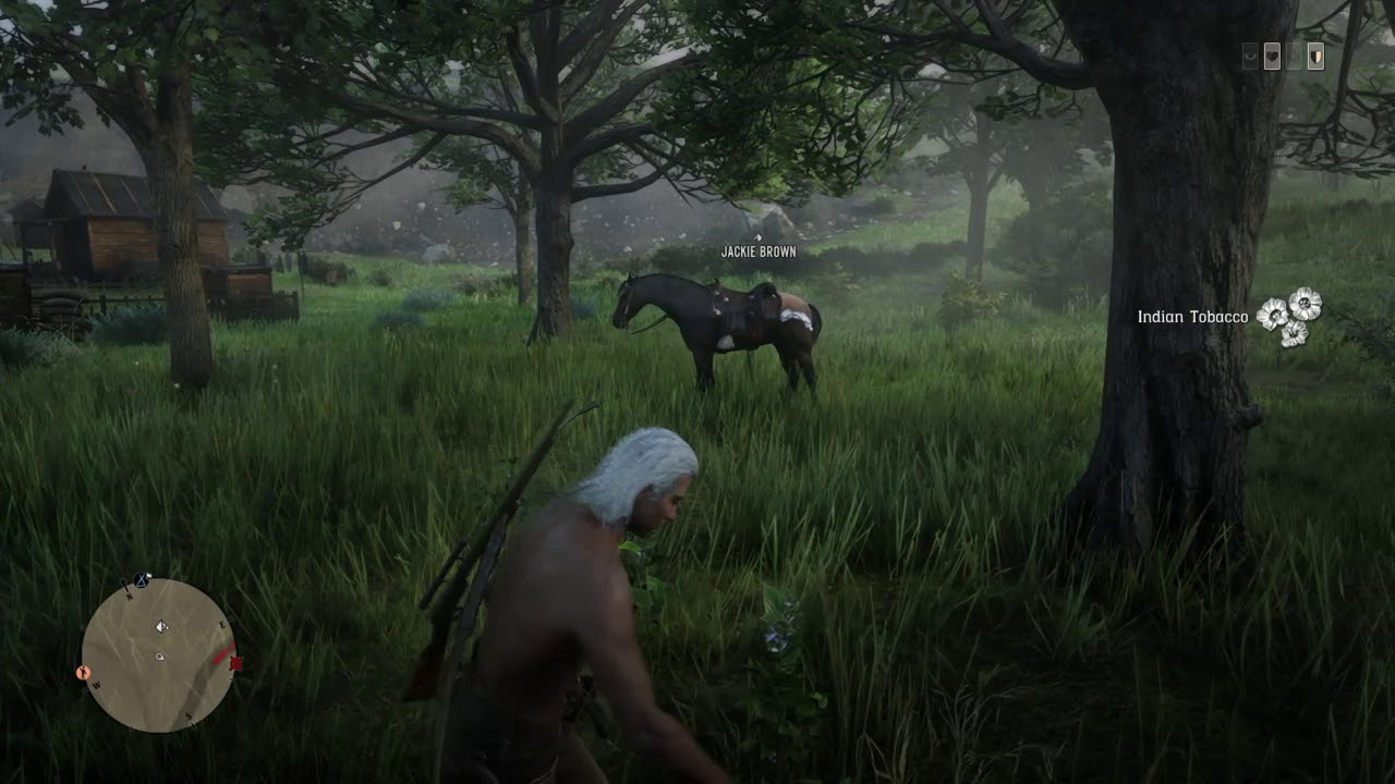 HERB GUIDE!!! Indian Tobacco and camp fire - Flatneck station - Red ...