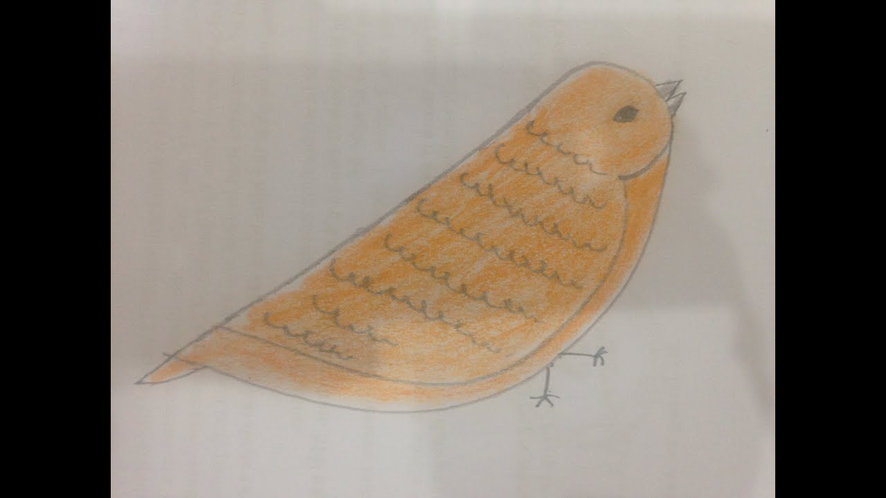 Vẽ con chim đơn giản - Simple bird drawing - YouTube