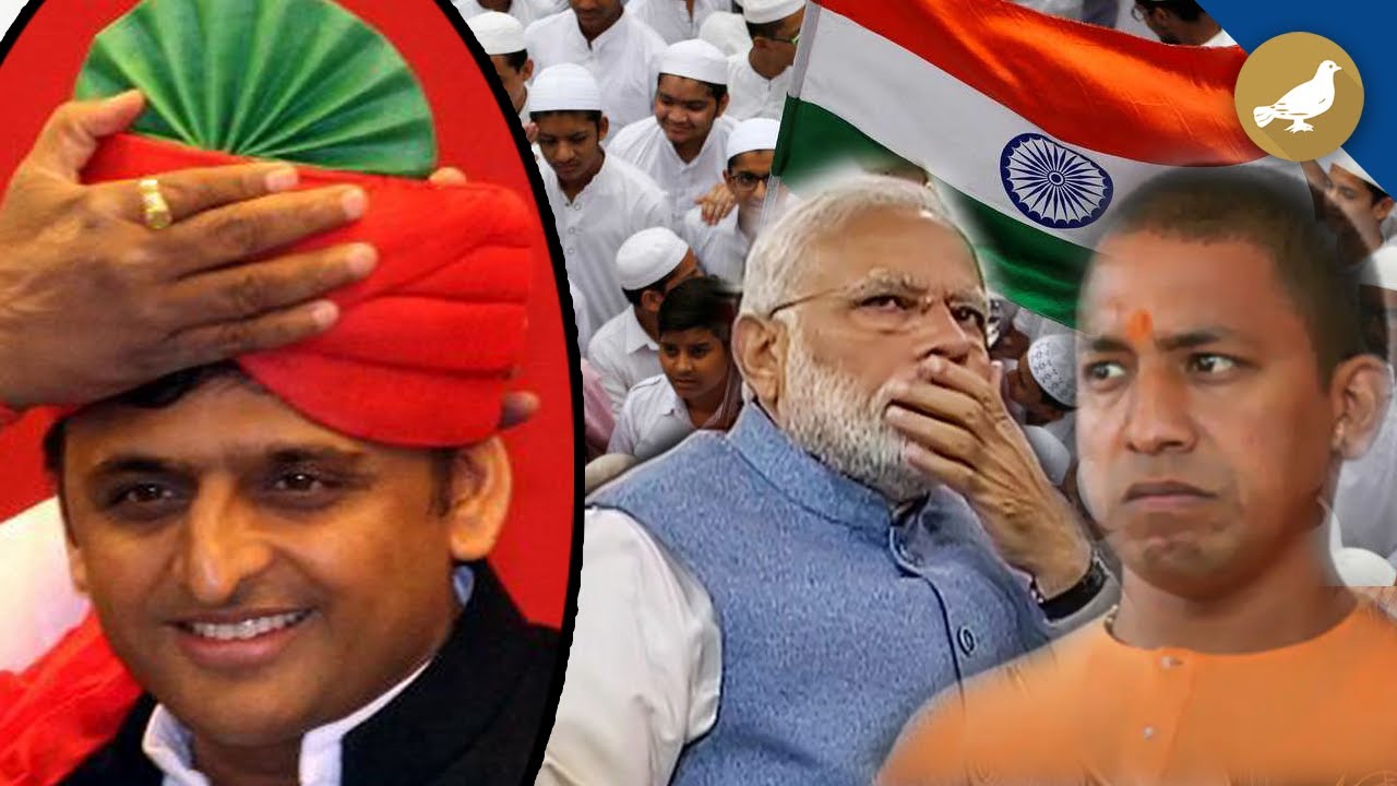 UP Election 2022: Muslims don't want to split vote | SP will form Govt ...