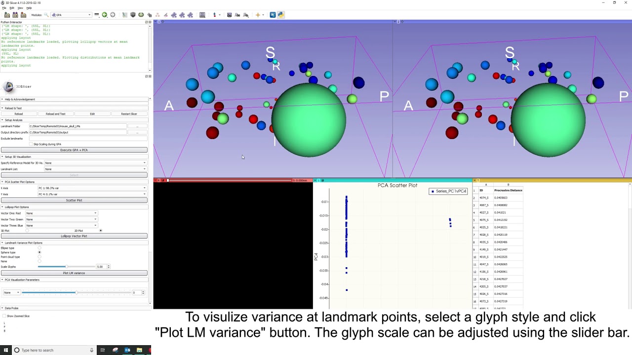 SlicerMorph GPA Basic visualization - YouTube