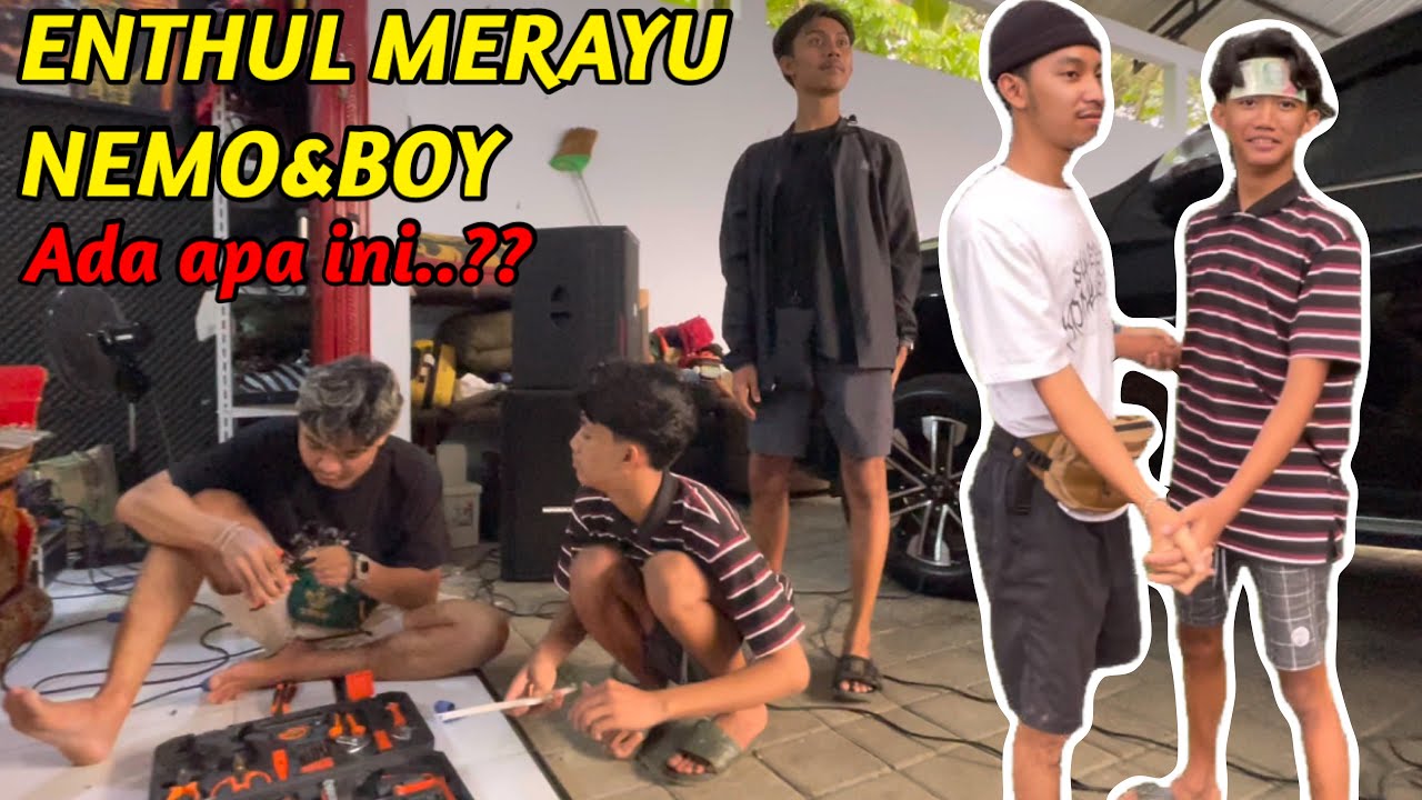 ENTHUL MERAYU NEMO DAN BOY..!! Ada apa gerangan?? - YouTube