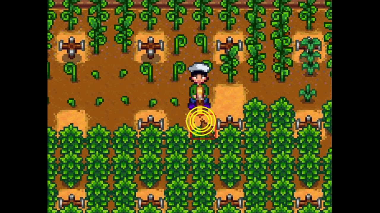 Stardew Valley: bug with which square your tool works on. - YouTube