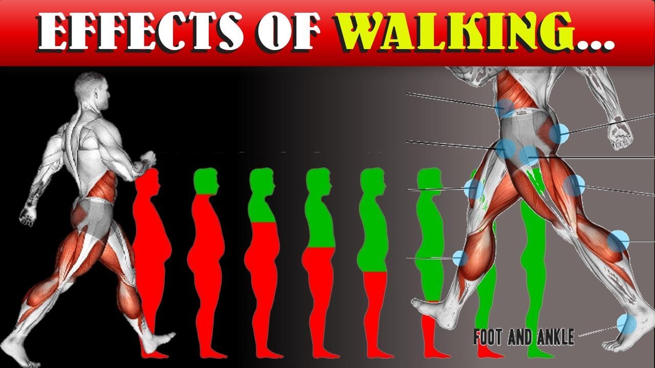 What Happens To Your Body When you Walk 5, 30 and 60 Minutes | Amazing ...
