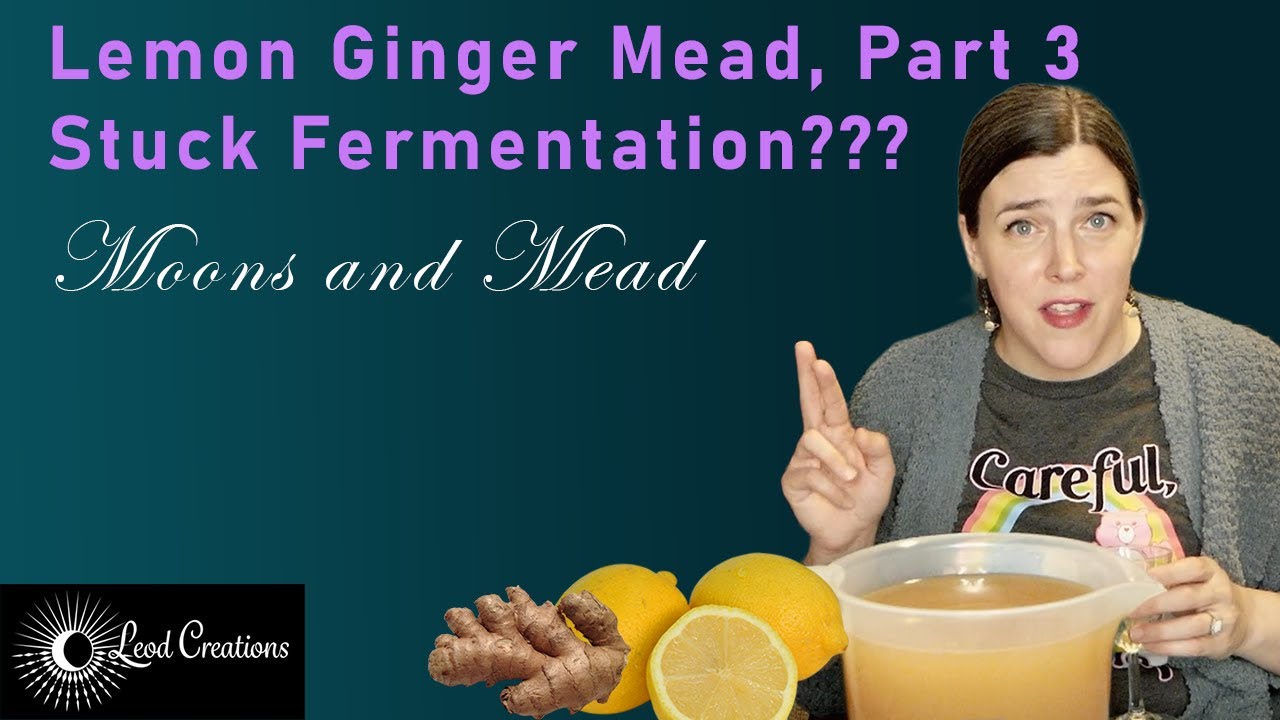 Lemon Ginger Mead, Part 3 - How to make mead, Racking - YouTube