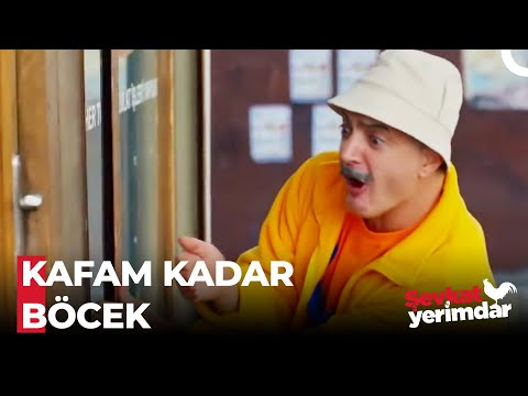 Duvarda Gezer Örümcek Korkarım Beni Yiyecek - Şevkat Yerimdar