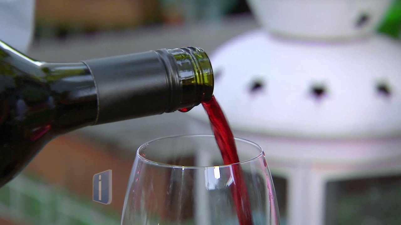 Lee tucks into Jimmy Watson's Food & Wine - Coxy's Big Break - YouTube