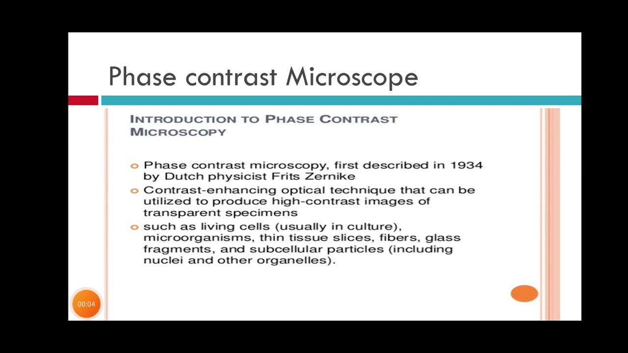 phase contrast and fluorescence microscopy - YouTube