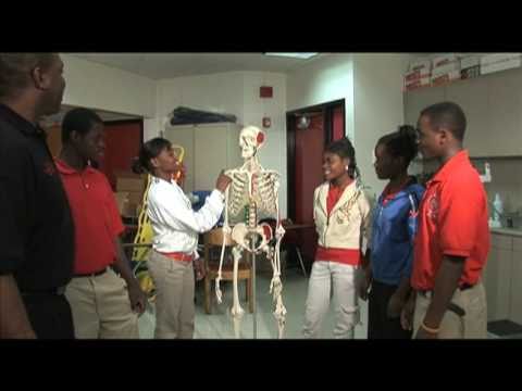 Miami Edison Senior High School - Health - YouTube
