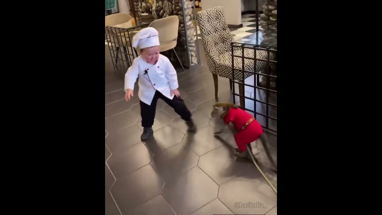 Hasbulla And Angry Monkey #short - YouTube