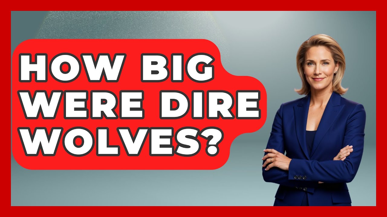 How Big Were Dire Wolves? - The Wild Life Explorer - YouTube