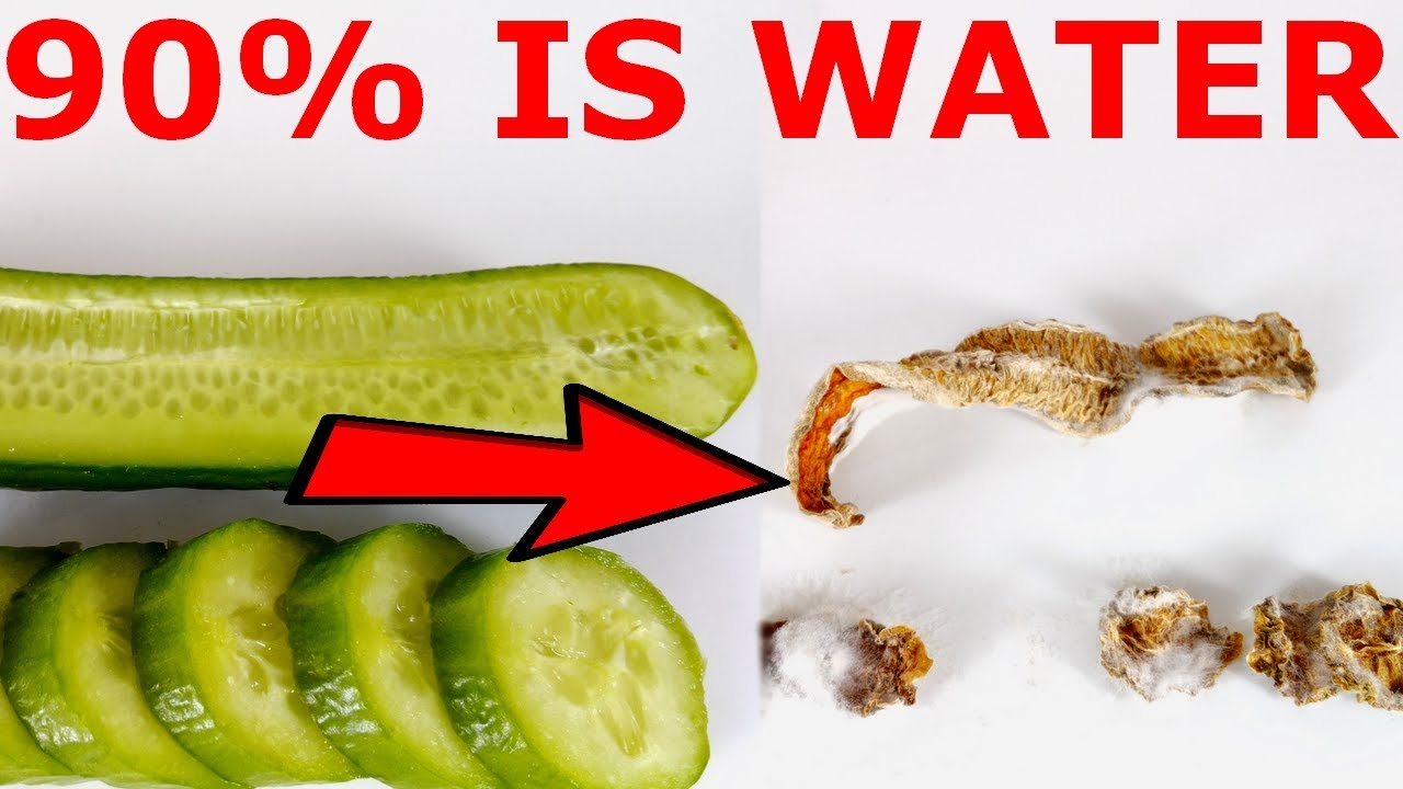 Cucumber Time Lapse - YouTube