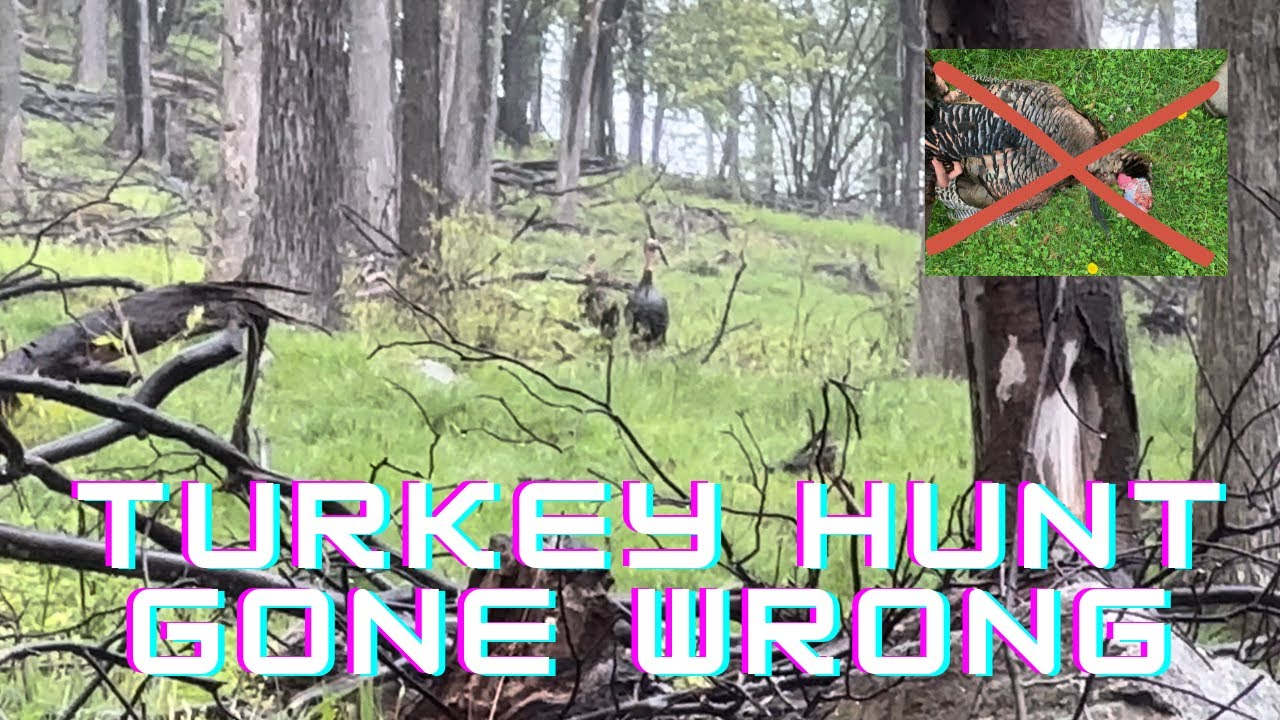 Opening day of PA turkey GONE WRONG! - YouTube