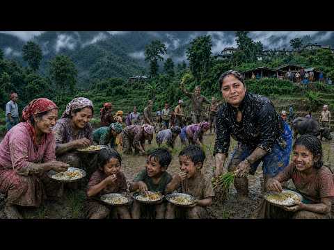 Traditional Paddy Farming in Nepal's Mountain Village | Real Rural Life Experience
