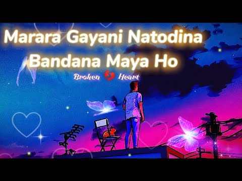 Marara gayani nathodhina bandan maya ho(Lyric video)//nepali song sansar maya