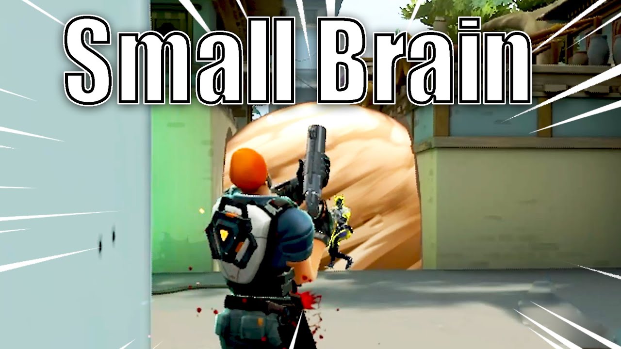 What Small Brained Valorant Looks Like.. - YouTube