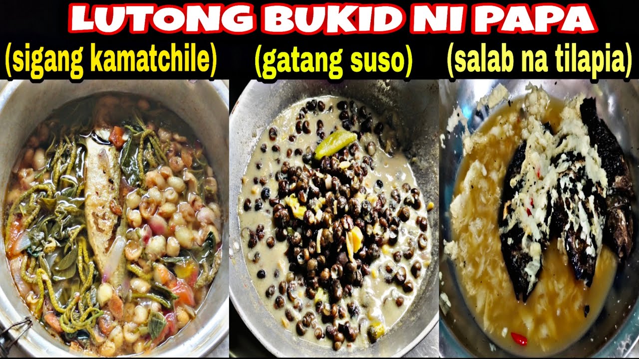 LUTONG BUKID / SIGANG GATANG SUSO / SINIGANG NA KAMATCHILE / SALAB NA ...