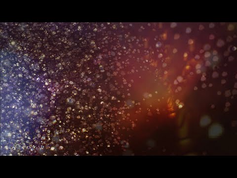 Ambia - Motion