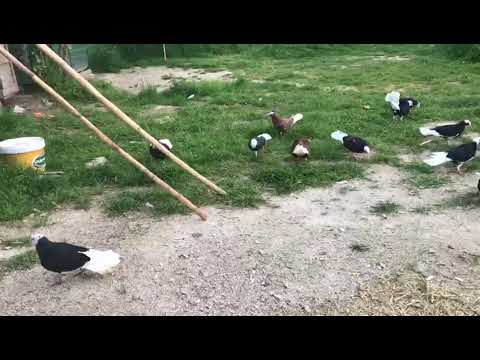 donekler gezintide 😊😊