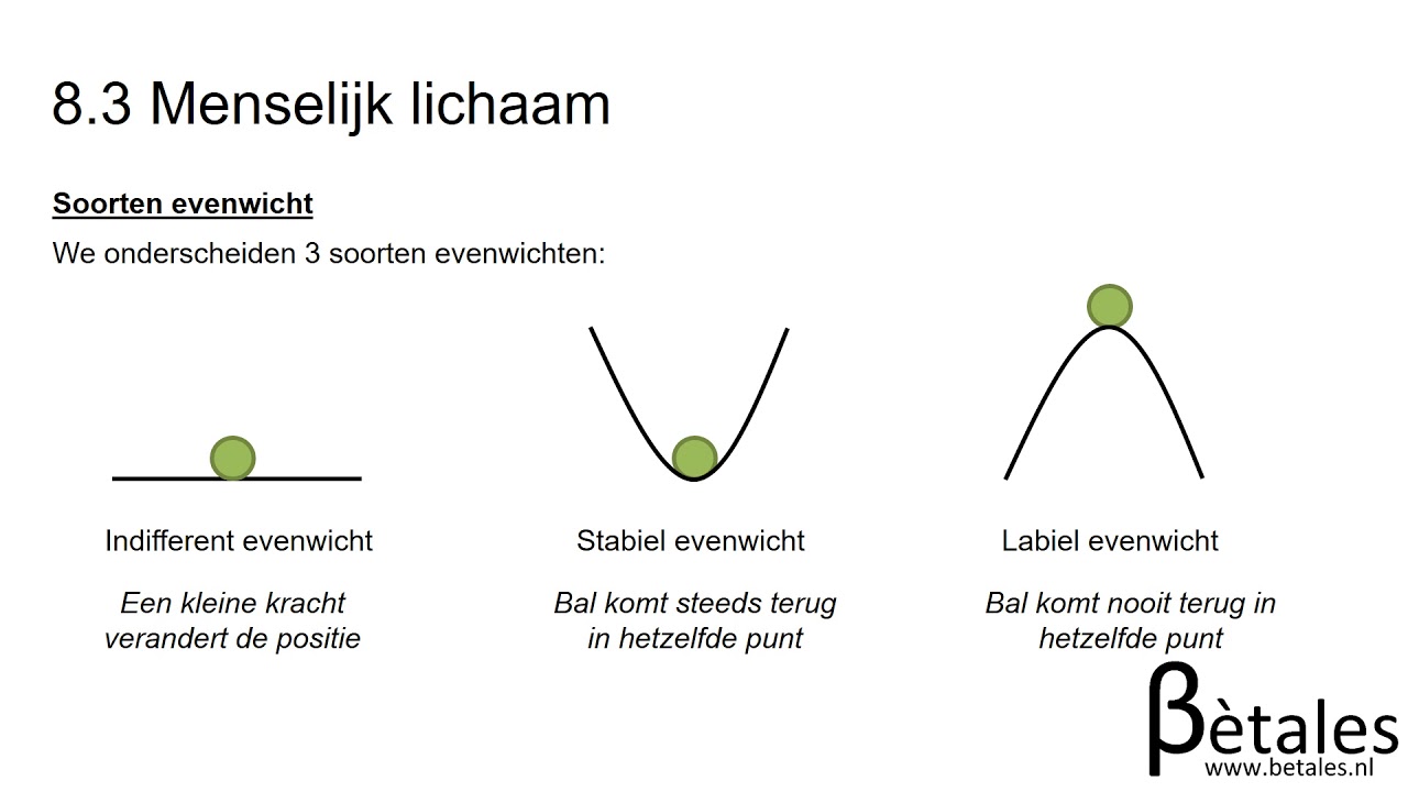 8.3 Menselijk lichaam - YouTube