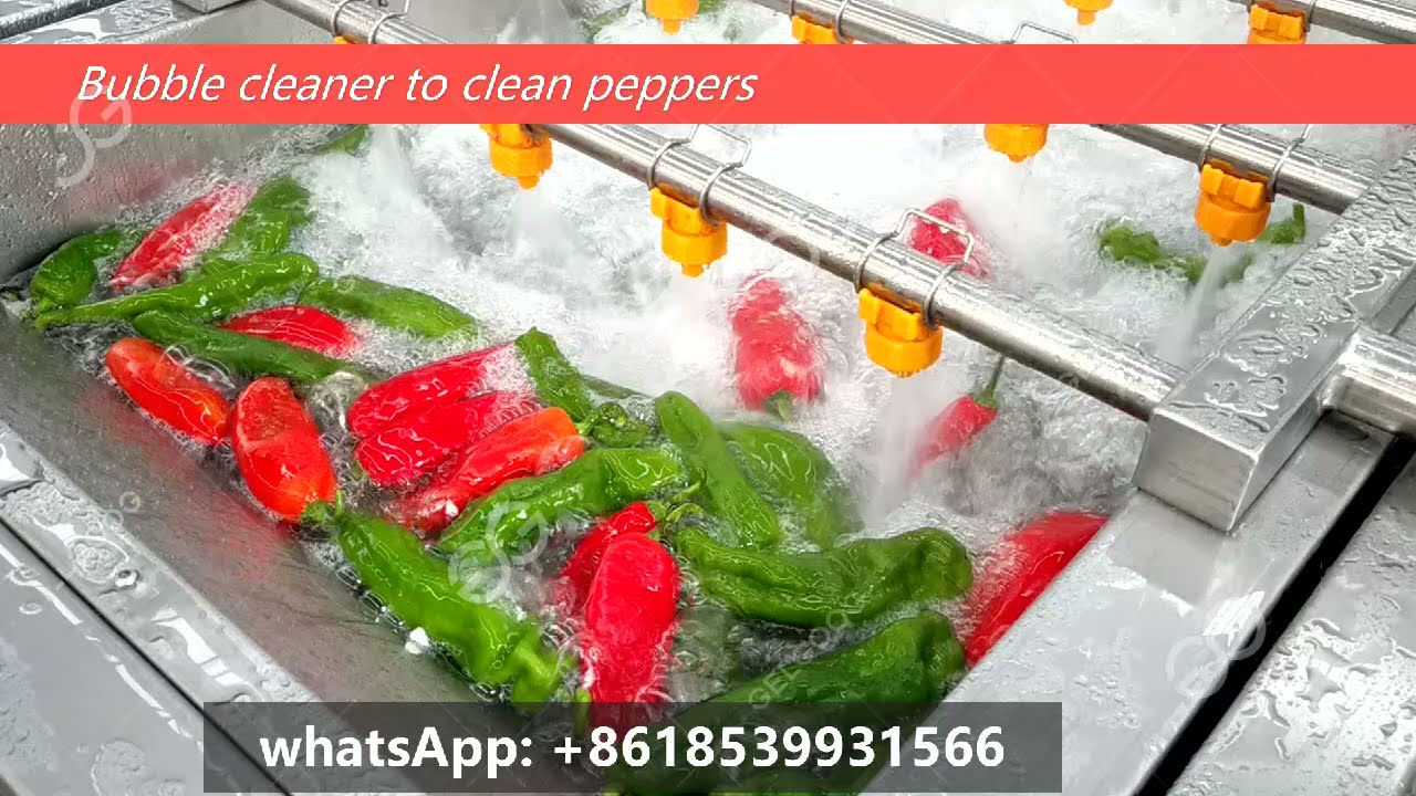 Pepper Chili Cleaning Washing Processing Machine - YouTube