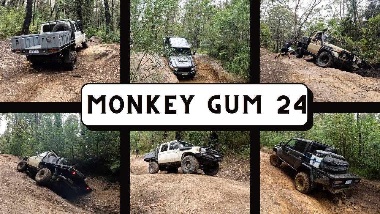 3 70 series take on monkey gum - YouTube
