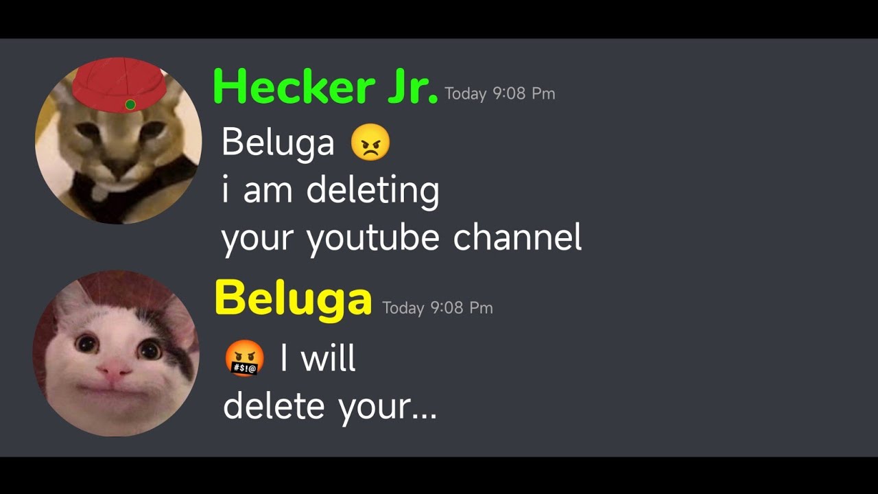 When Beluga fights with Hecker Jr... | Beluga vs Hecker Jr. | Beluga ...