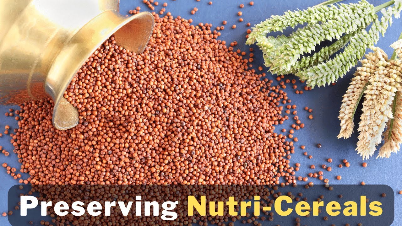 Essay On Millets - Traditional Ways to Store Millets - Best English ...