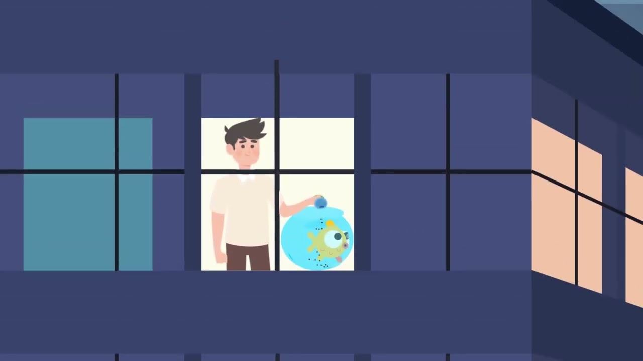 pet shop animation adz (upwork client ) - YouTube