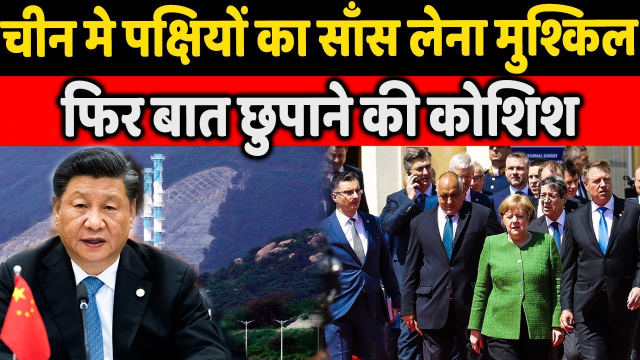 China Birds Are In Major Threat ,Again Jingping Hide The Truth From ...