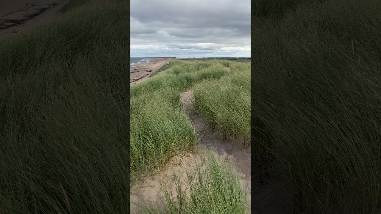 Goswick Beach - YouTube