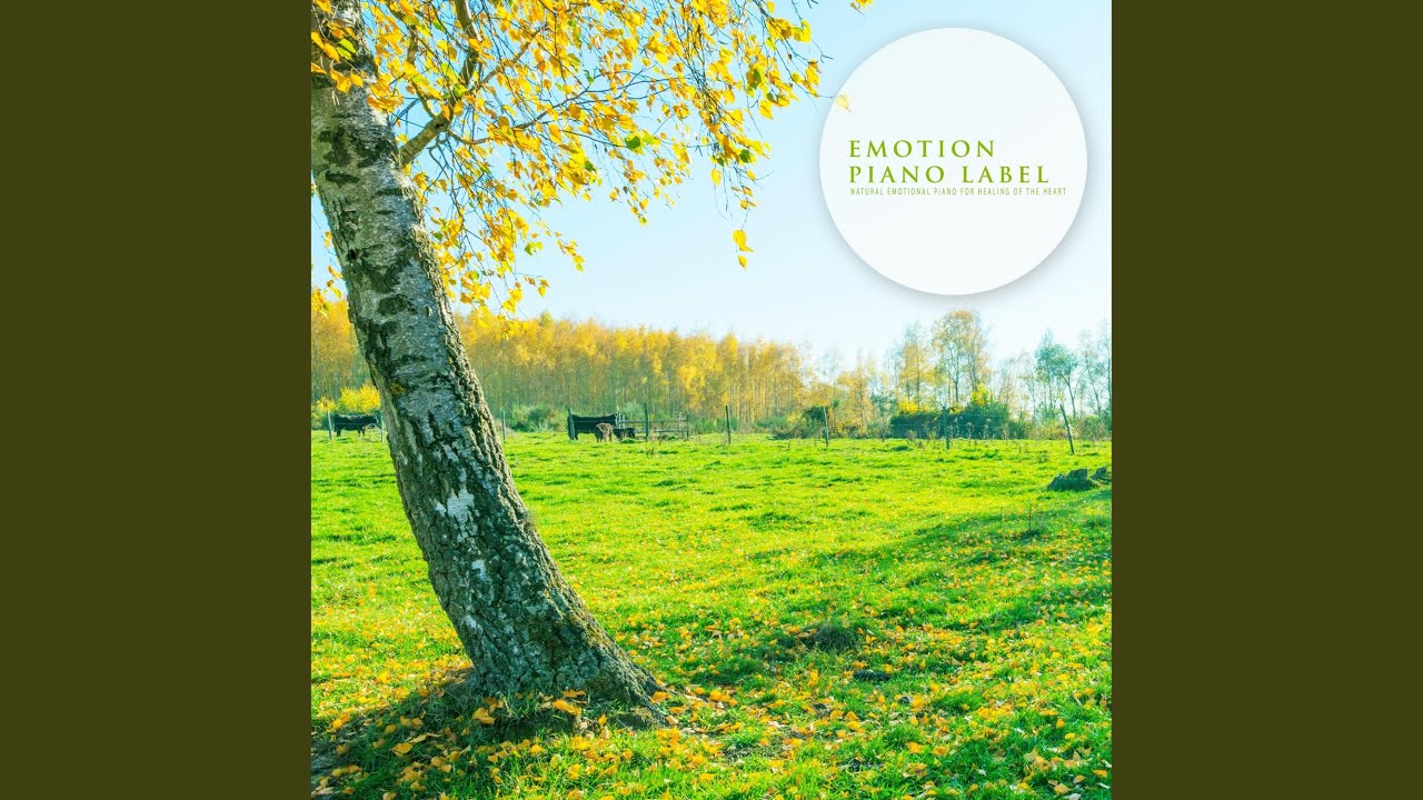 Milky Way Starlight (Nature Ver.) - YouTube