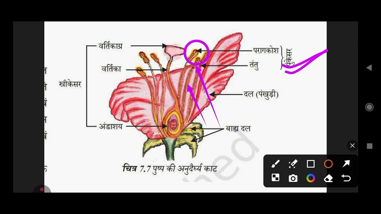 Class 10th science question bank solution - YouTube