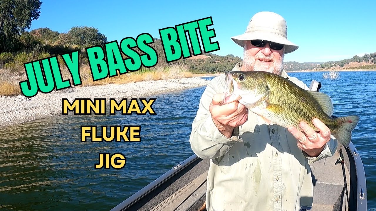 Early July Bass Fishing at Lake San Antonio (Mini Max, Flukes & Jigs ...