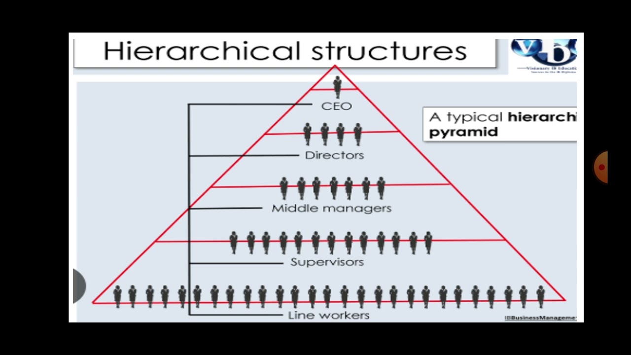 #Nta ugc net 2024 management paper2 unit 1 organisation structure,types ...