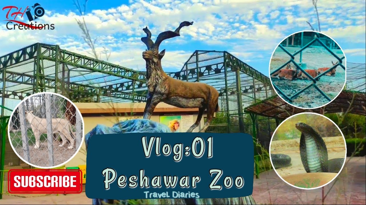 Peshawar Zoo Visit 2022 | Wild Animals in Peshawar Zoo - YouTube