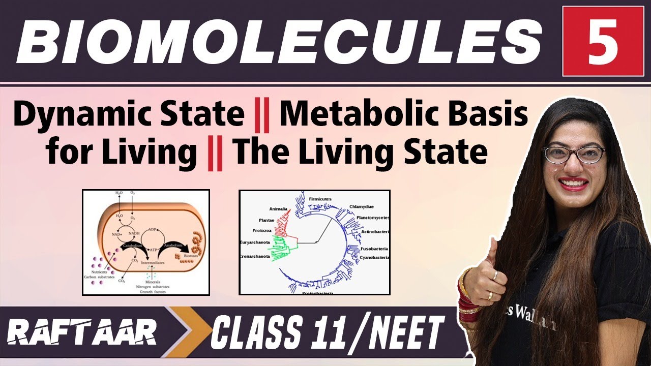 Biomolecules 05 || Dynamic State || Metabolic Basis for Living || Class ...