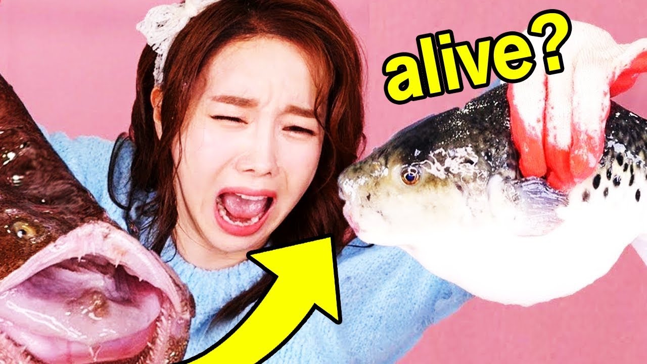 Mukbang YouTuber Won't Stop Eating ALIVE Animals - YouTube