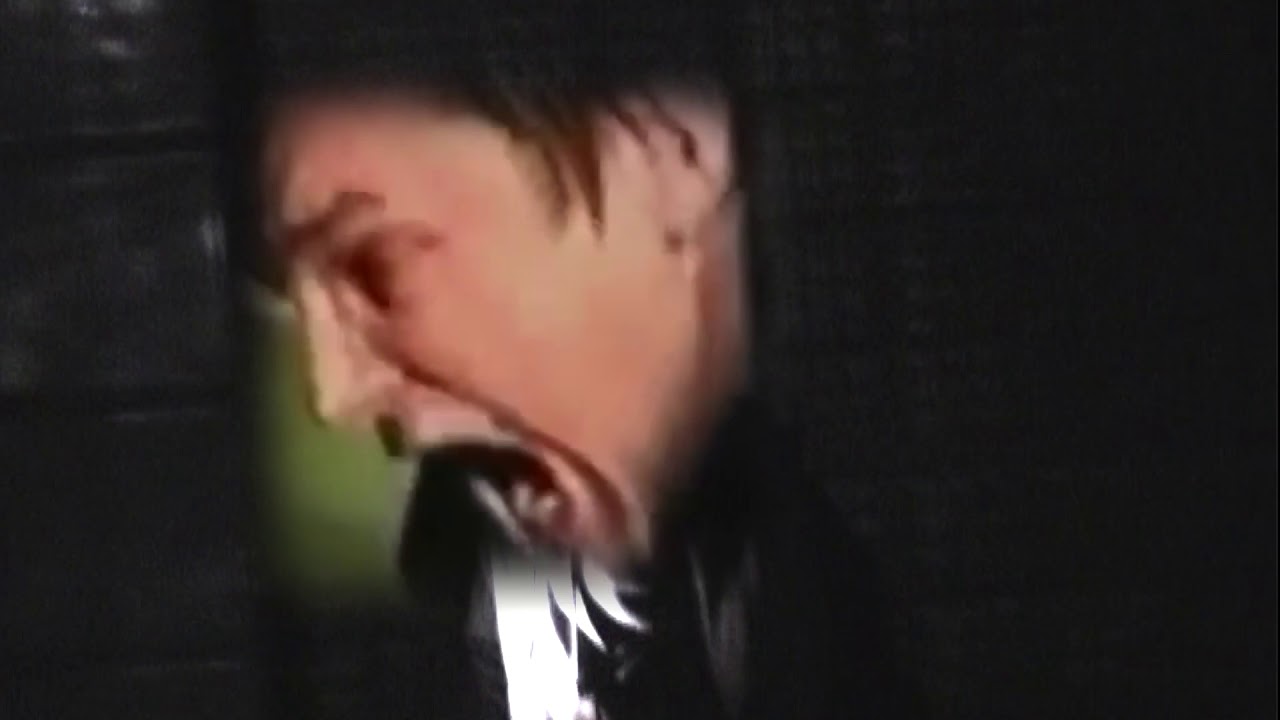 The Rake (with memes ) - YouTube