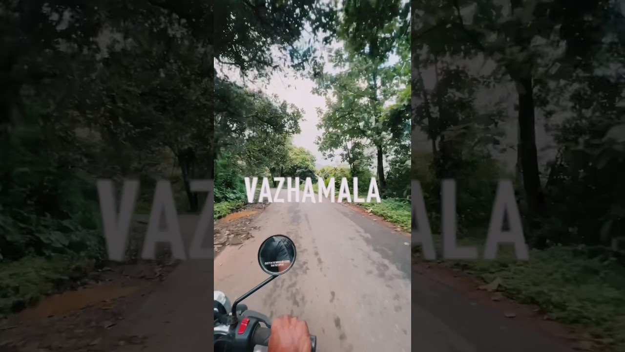വാഴമല - Vazhamala 🦚🍀#vazhamala #keralatourism #kerala #yathrapremi # ...