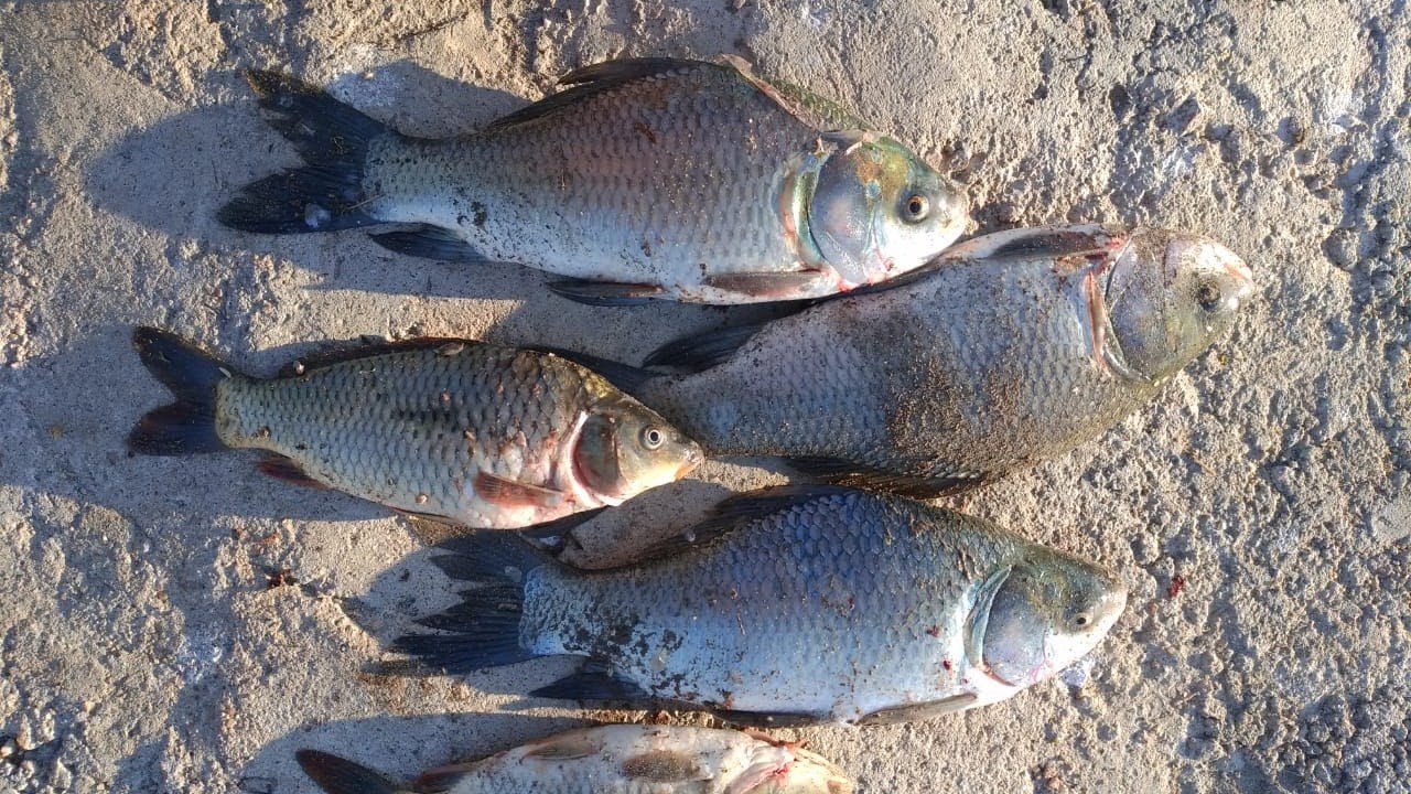 MALLI FISHING - YouTube