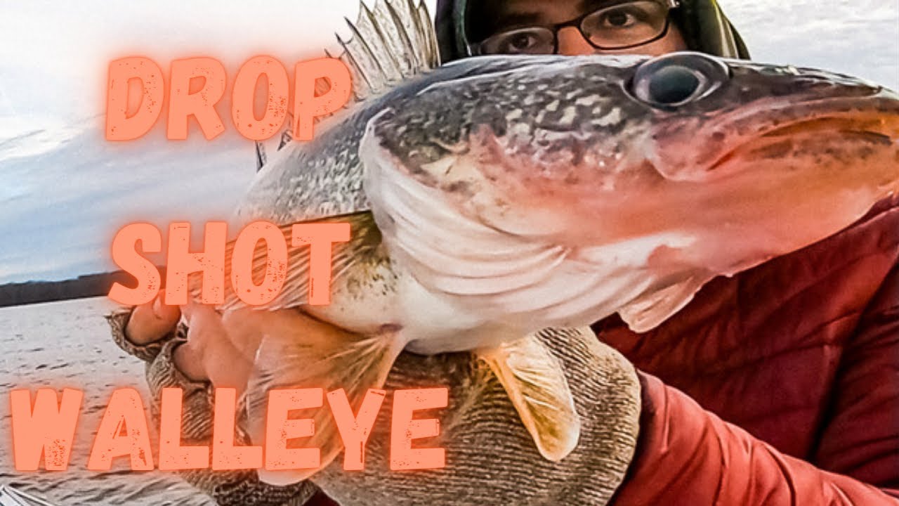 DROP SHOT SWIMBAIT WALLEYE | OPEN WATER | ONEIDA LAKE - YouTube