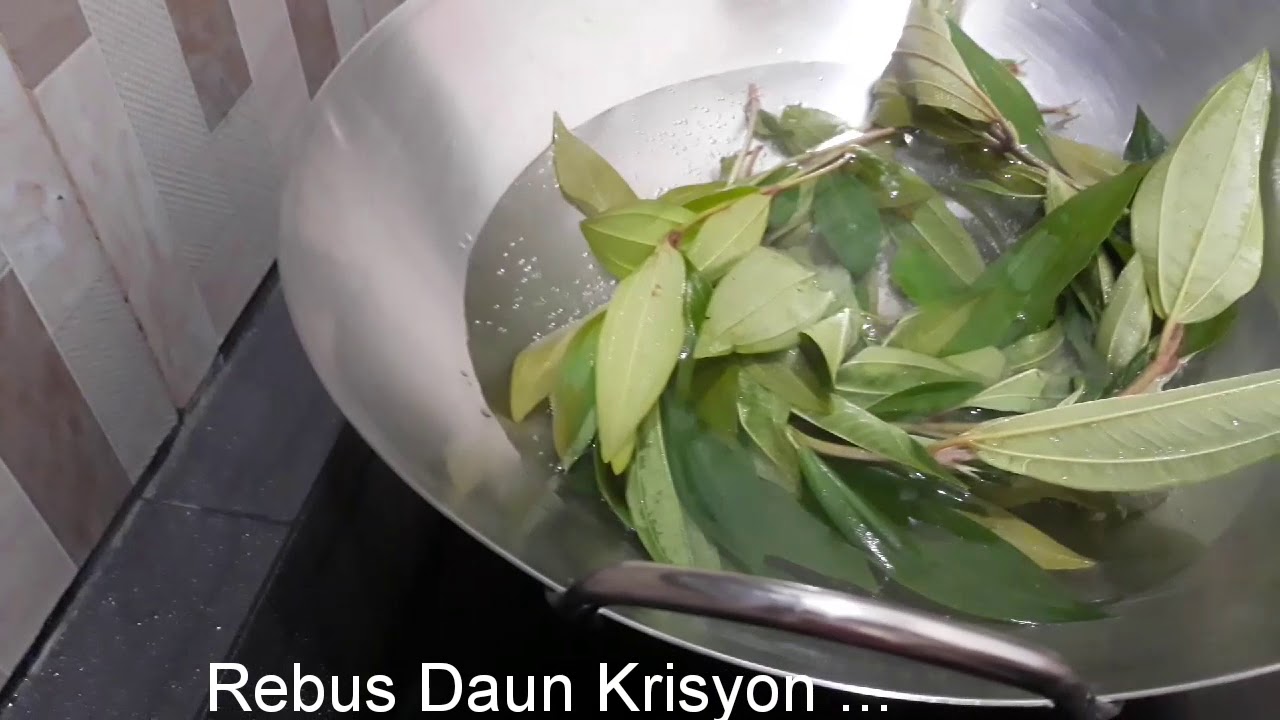 Daun Pepaya Rebus - YouTube