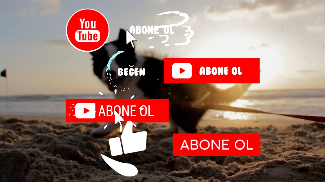 Abone Ol Animasyonları - Grafik Tasarım - YouTube