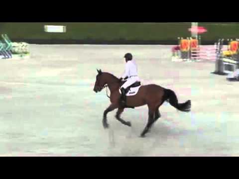 Video of Giljana ridden by Jonathan Corrigan from ShowNet! - YouTube