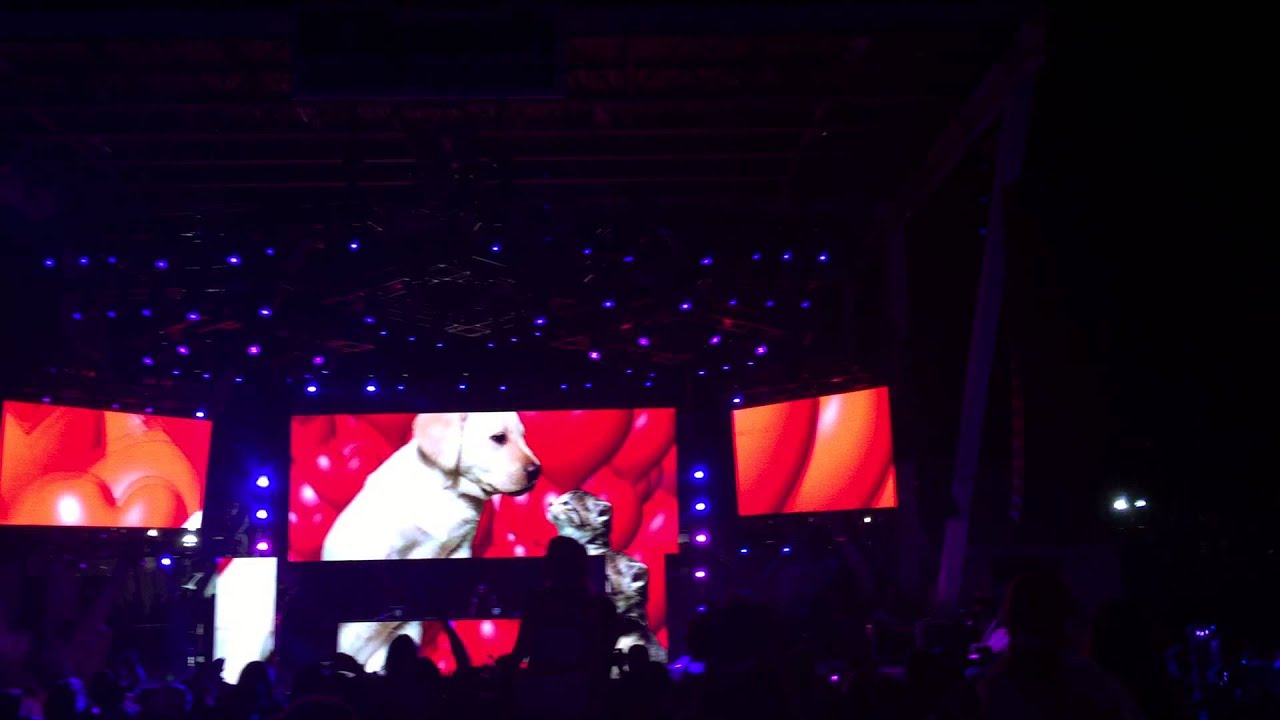 Ultra Music Festival 2015 - Day 2 - Bassnectar "Noise (I Do What I ...