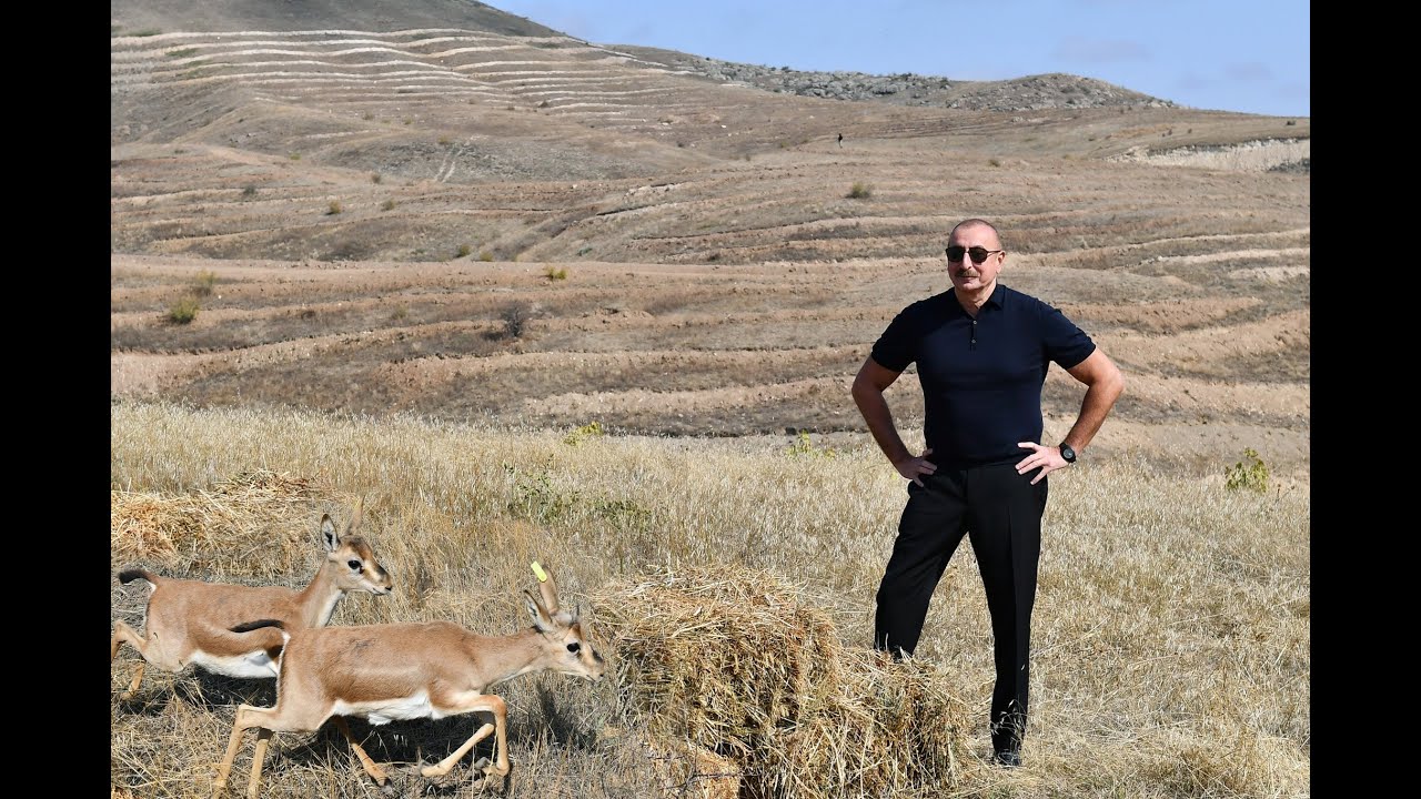 Jabrail 19.10.2022 - YouTube